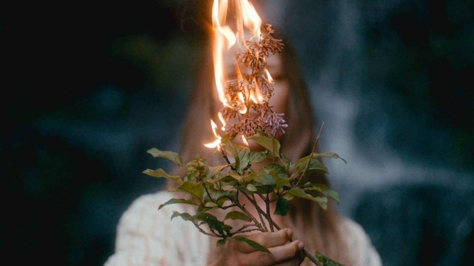 BEYRIES dévoile son premier album en français : "Du feu dans les lilas ...